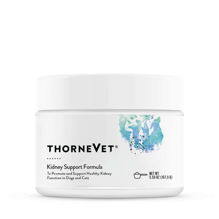 Kidney Support Formula Powder - Thorne Vet